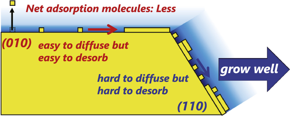 Comparison of hydration structure formed on organic crystal surfaces ...