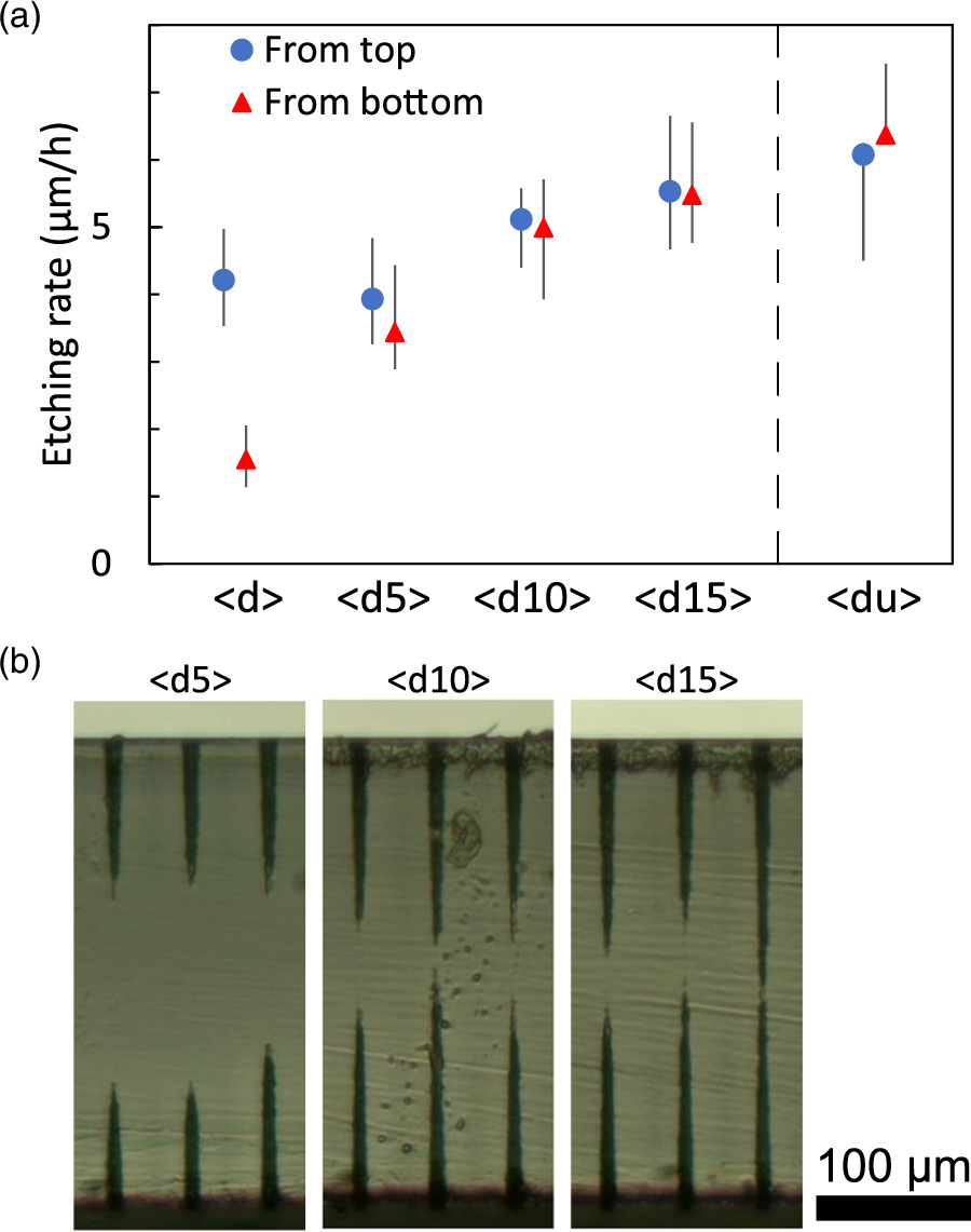 Scanning strategy-dependent etching rate in the formation of through ...
