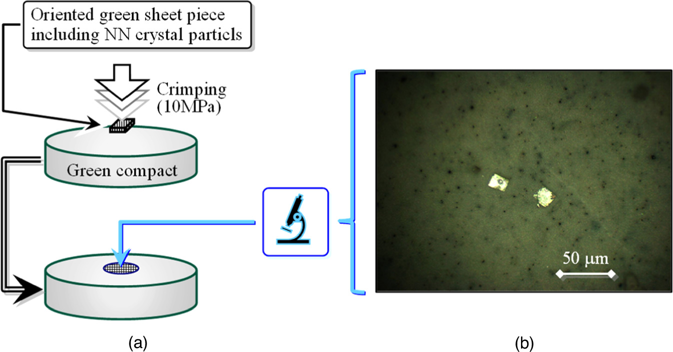 Growth orientation control in rapid solid-state crystal growth of (K,Na ...