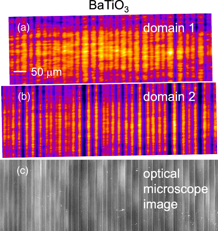 Observation of ferroelectric domains in BaTiO3 by synchrotron radiation ...
