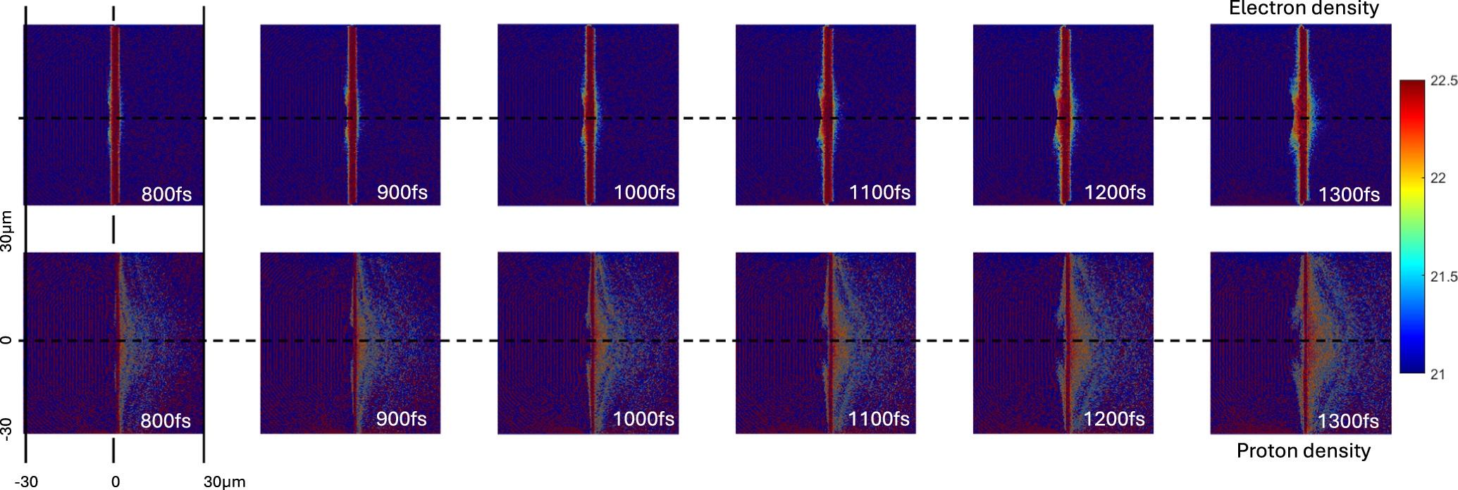 Recent developments on plasma based neutron sources from microscopic ...