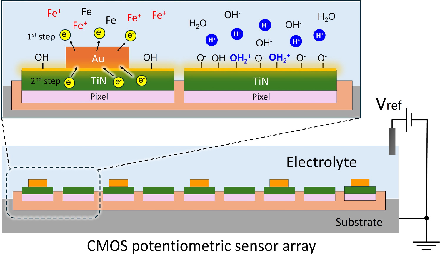 Titanium nitride electrode-based CMOS multichemical image sensor for ...