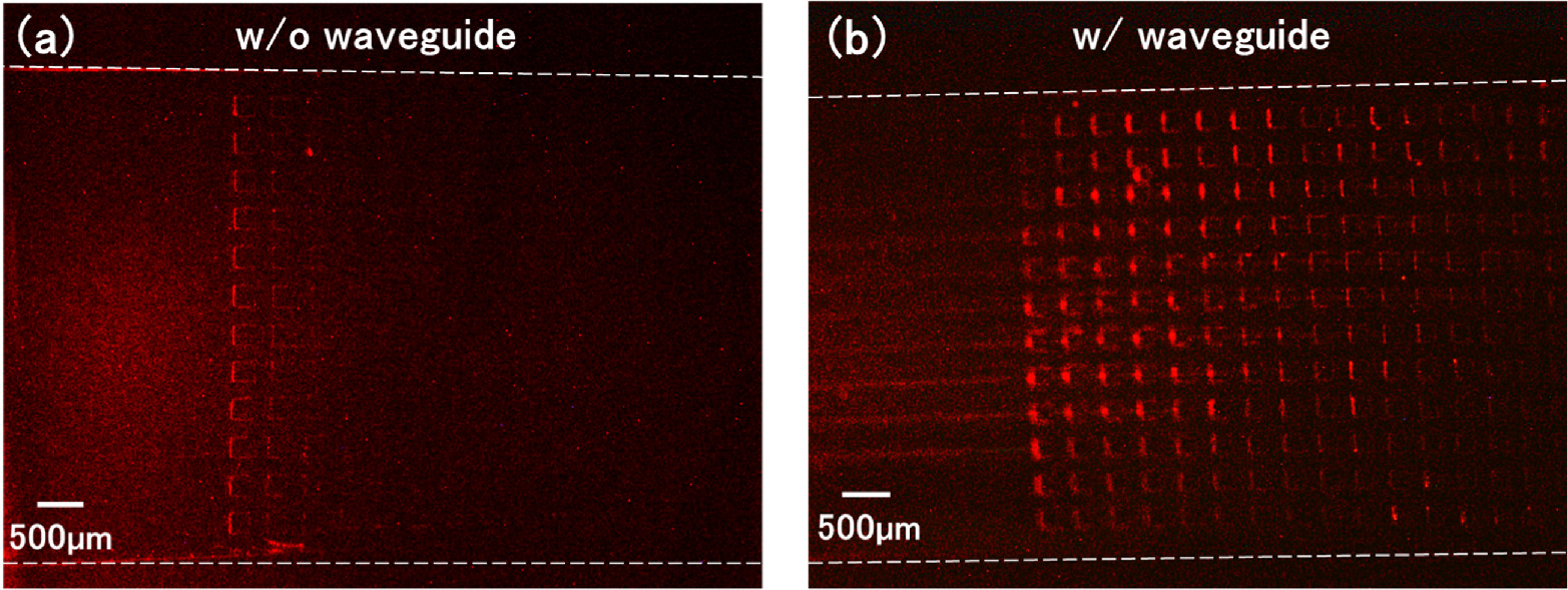 Development of wireless optically stimulable upconversion nanoparticle ...