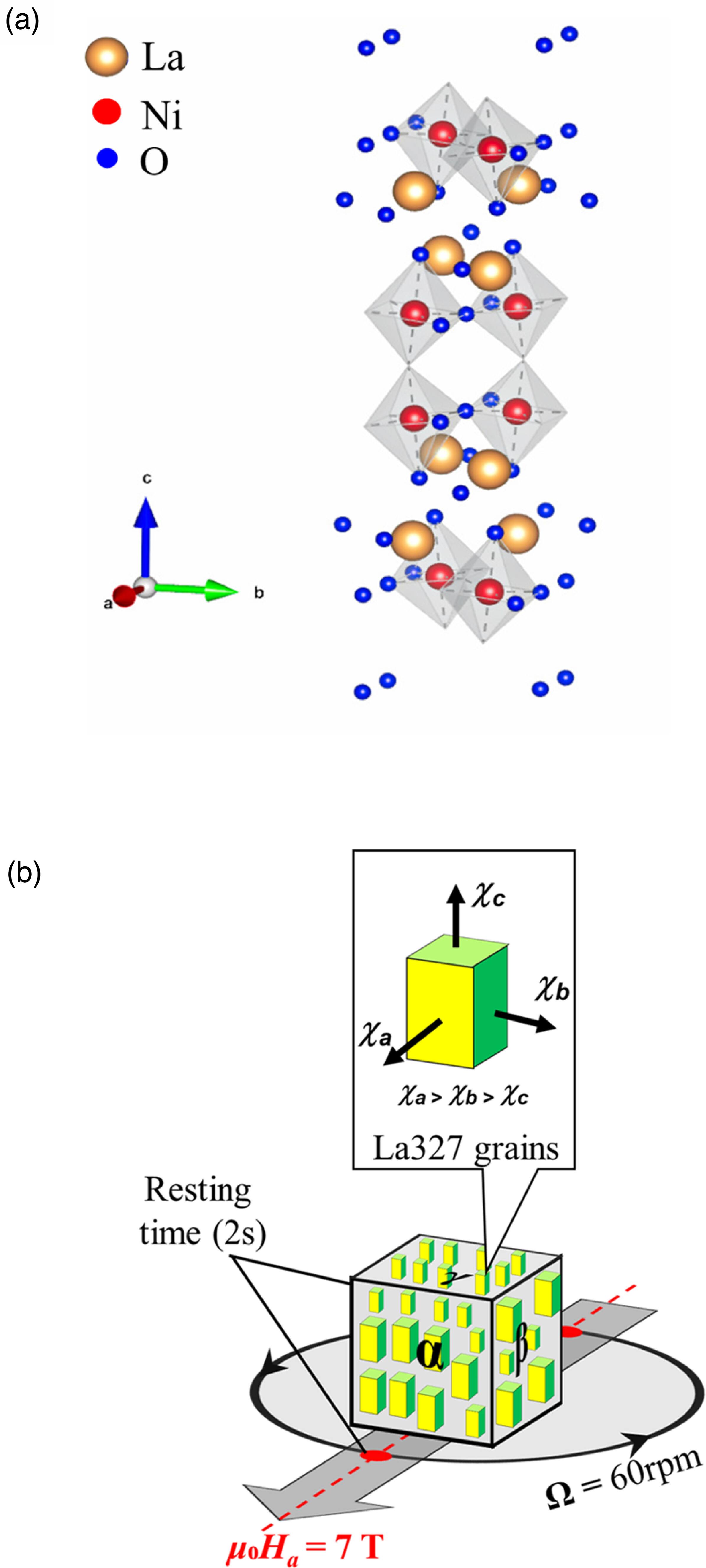 Biaxial magnetic alignment and orthorhombic twin microstructure in ...