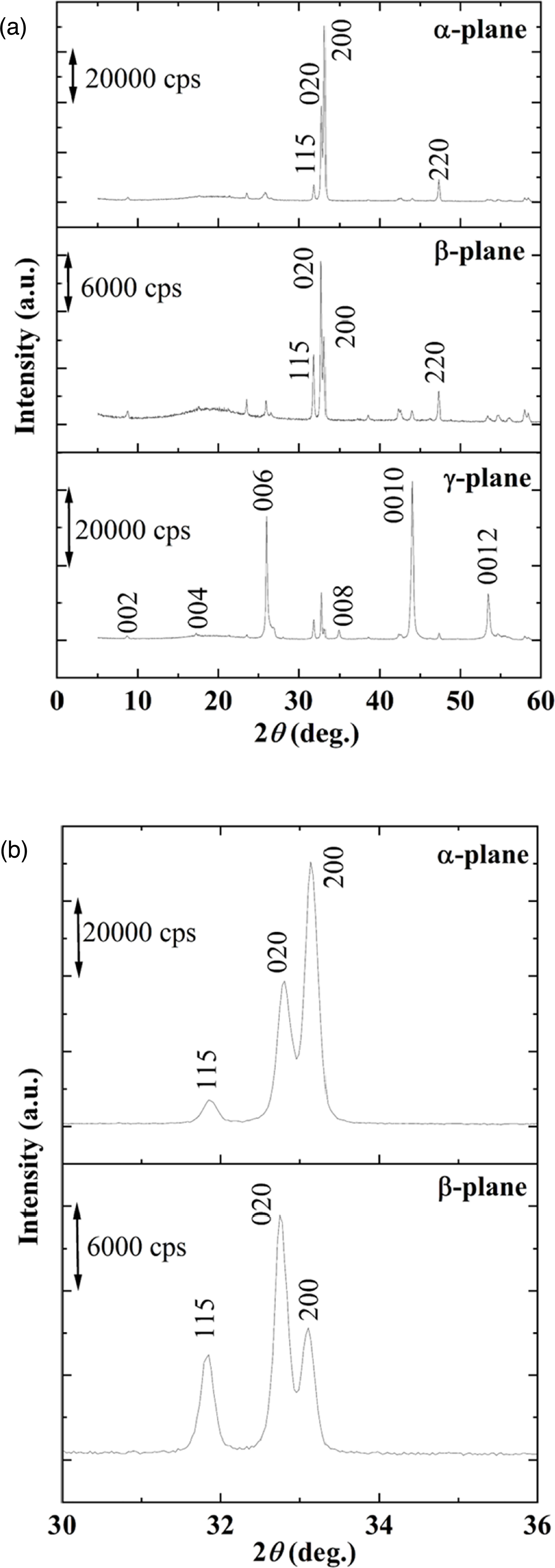 Biaxial magnetic alignment and orthorhombic twin microstructure in ...