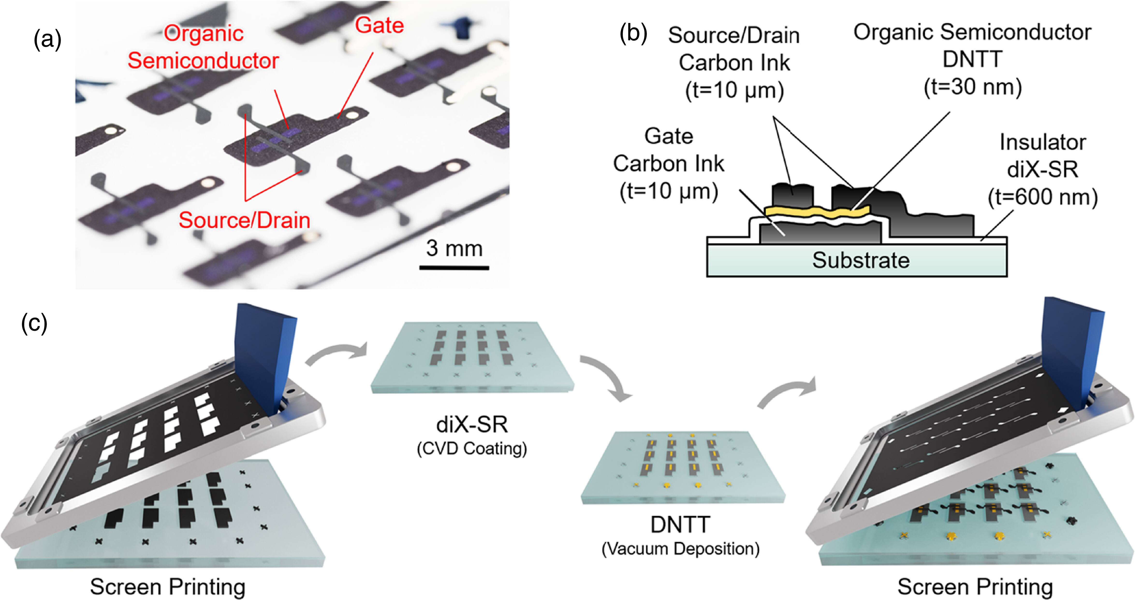 Low-voltage organic field-effect transistor with screen-printed carbon ...