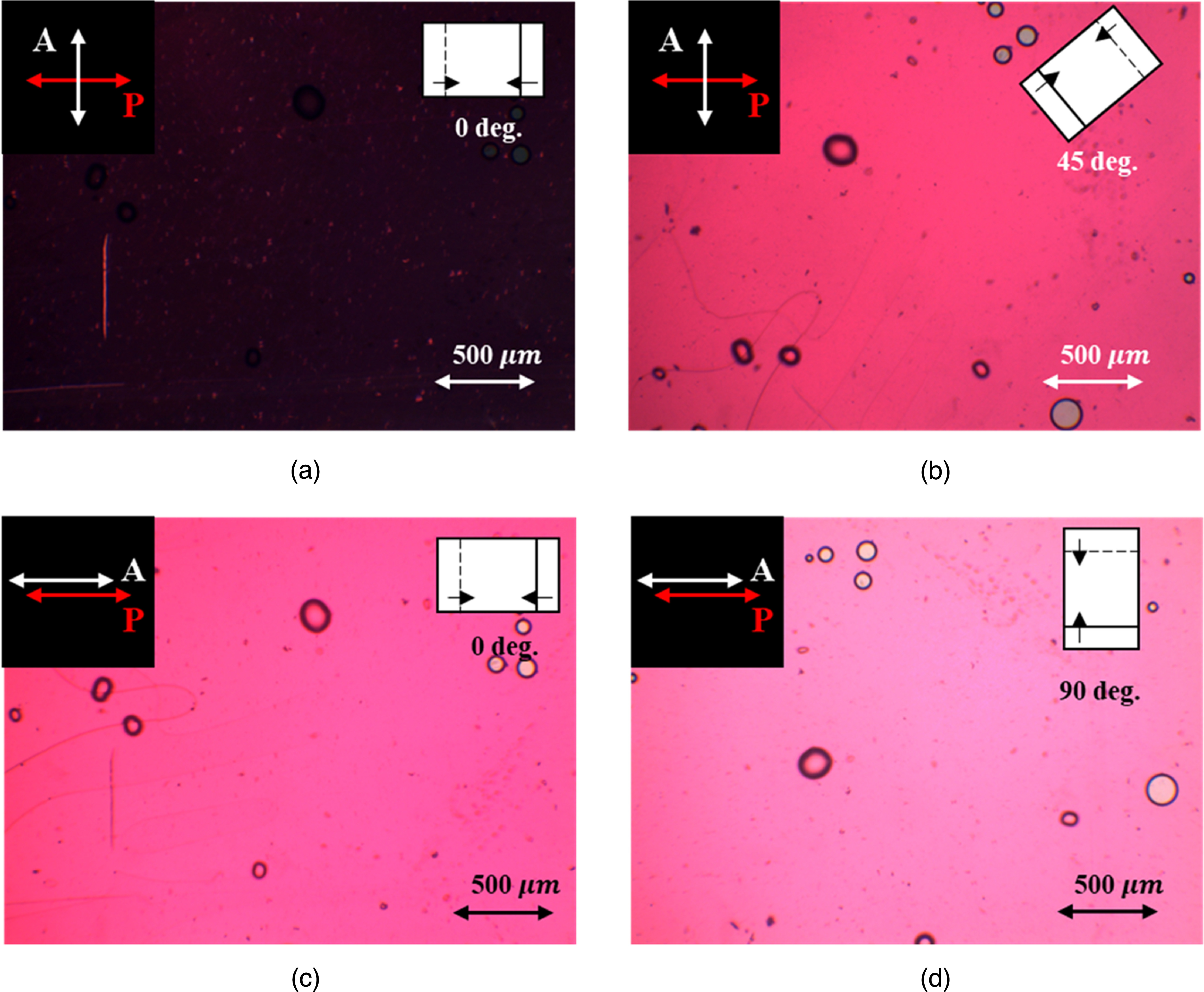 Slit-coating of nematic liquid crystal and organic fluorophore mixtures ...