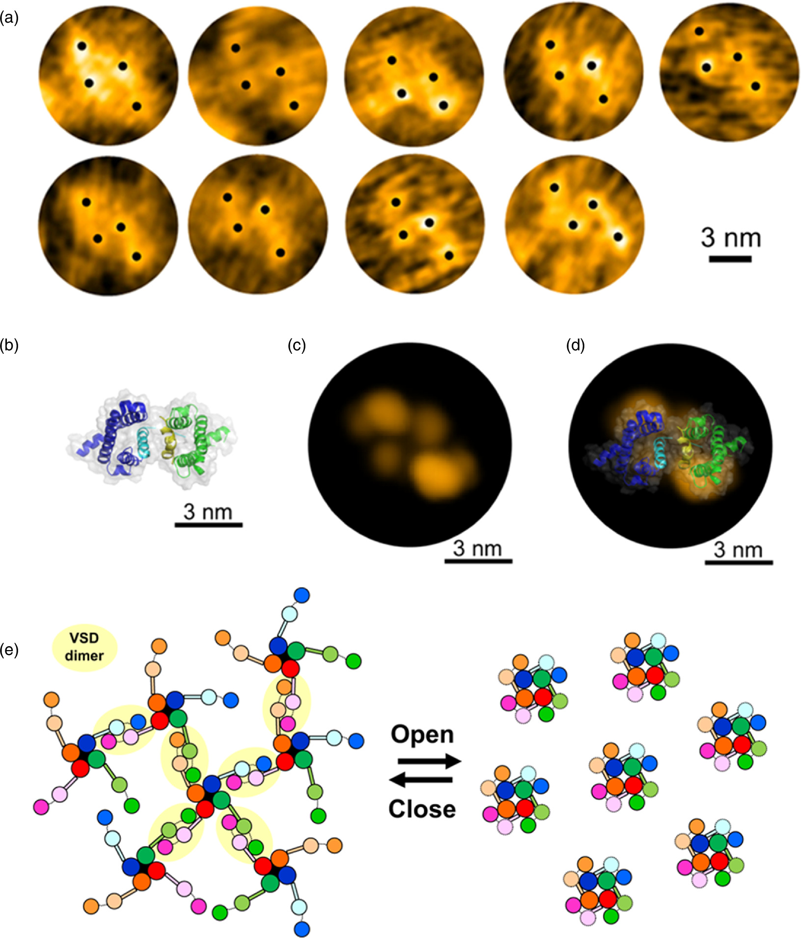 High-speed atomic force microscopy of ion channels - IOPscience