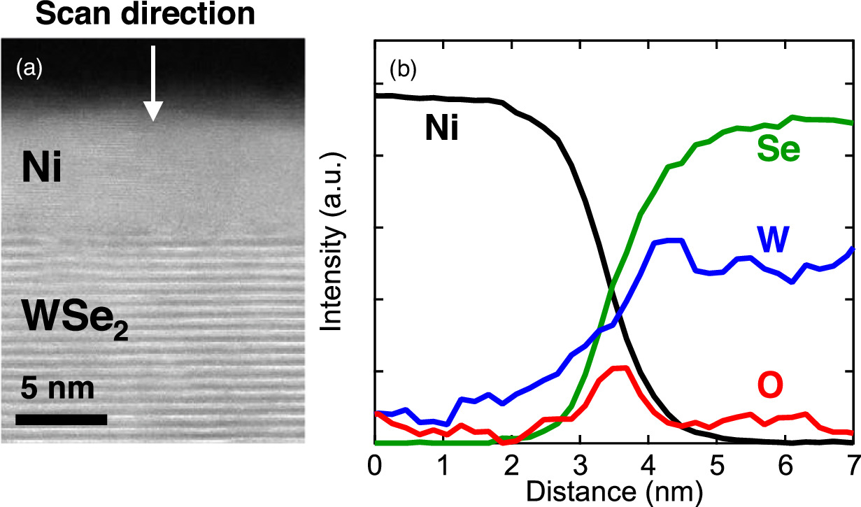 Fabrication of n-type and p-type WSe2 field-effect transistors and ...