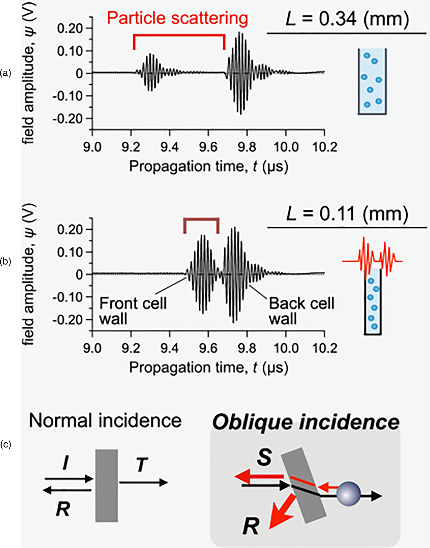 Nanoparticle sizing in the presence of large particles by oblique ...