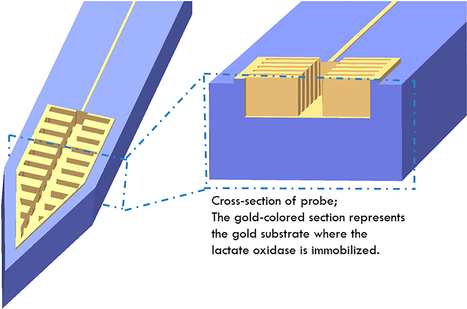 Development of lactate sensing probe with deep trench structure for ...