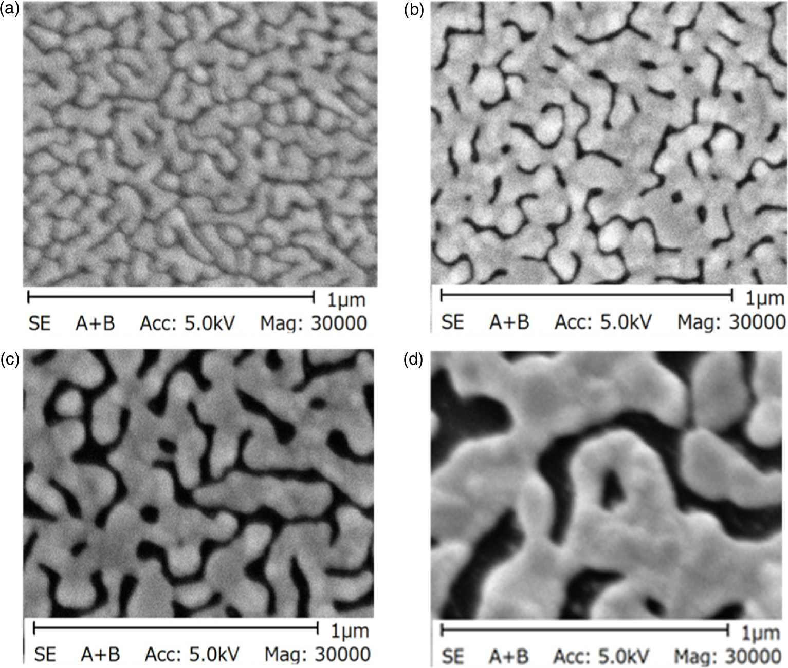 Hierarchical super-hydrophobic coating with productive etching process ...