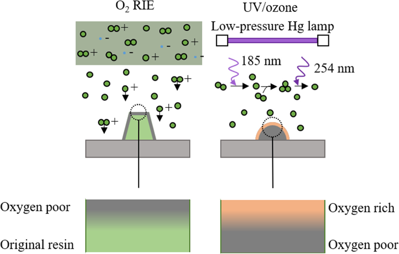 Formation mechanism of periodic wrinkles around trimmed nanoimprint ...