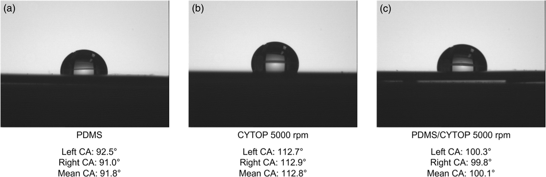 CYTOP-assisted vacuum storage enhancement of PDMS microfluidic chip for ...