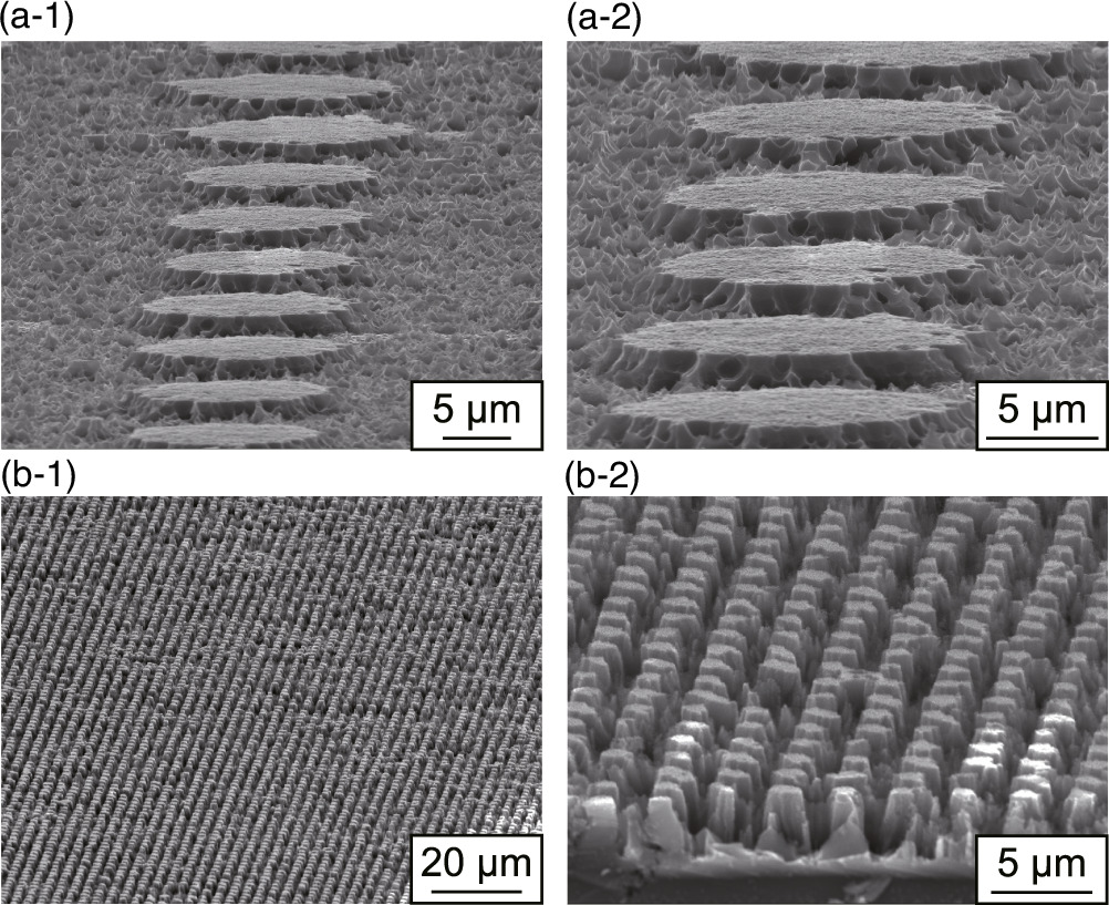 Vapor phase silicon etching assisted by graphene oxide for microsized ...