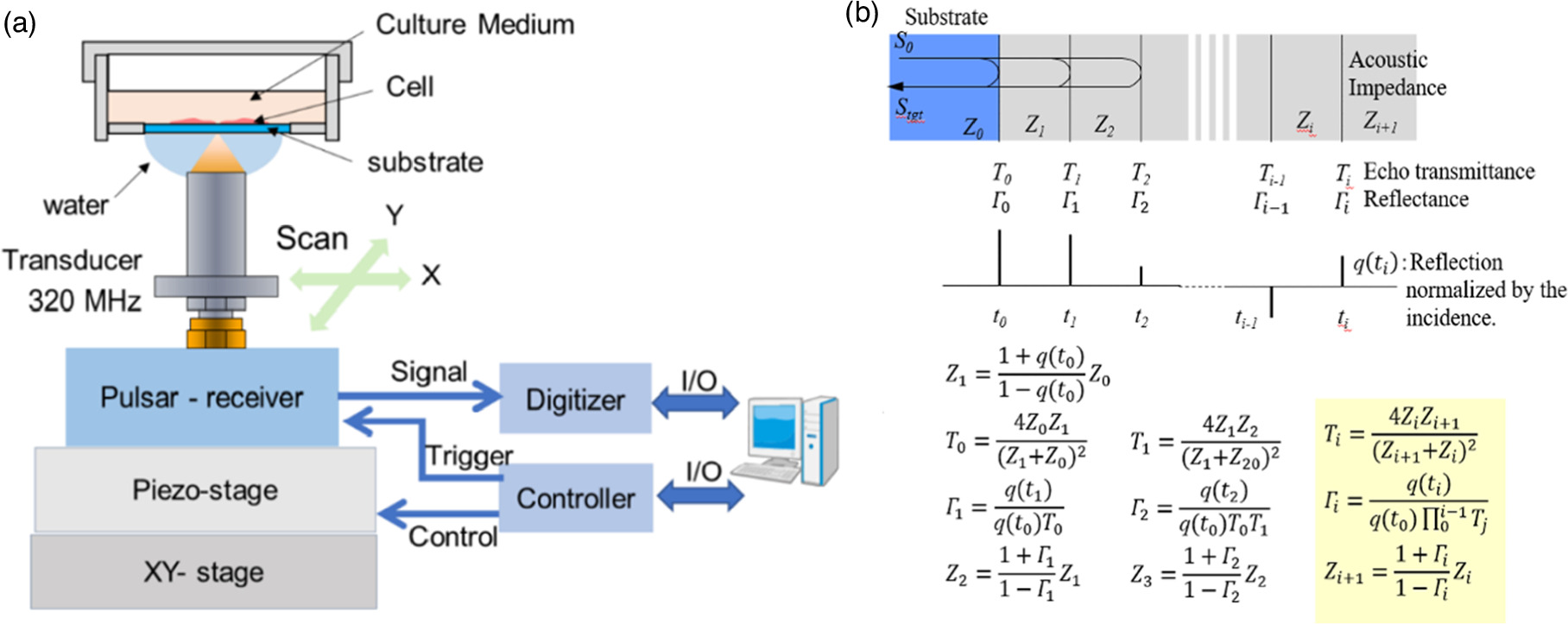 Multiple reflections in three-dimensional images of scanning acoustic ...