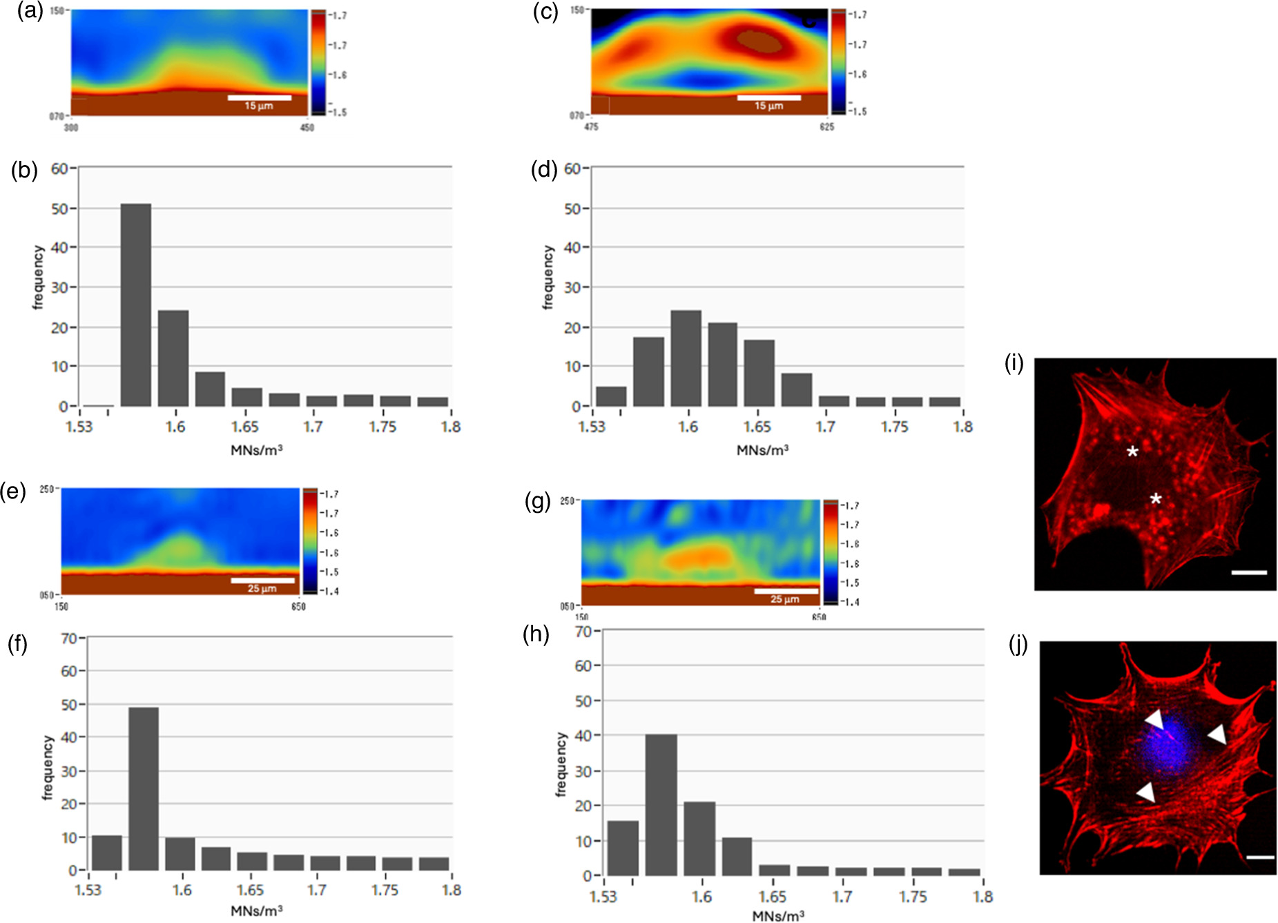 Multiple reflections in three-dimensional images of scanning acoustic ...