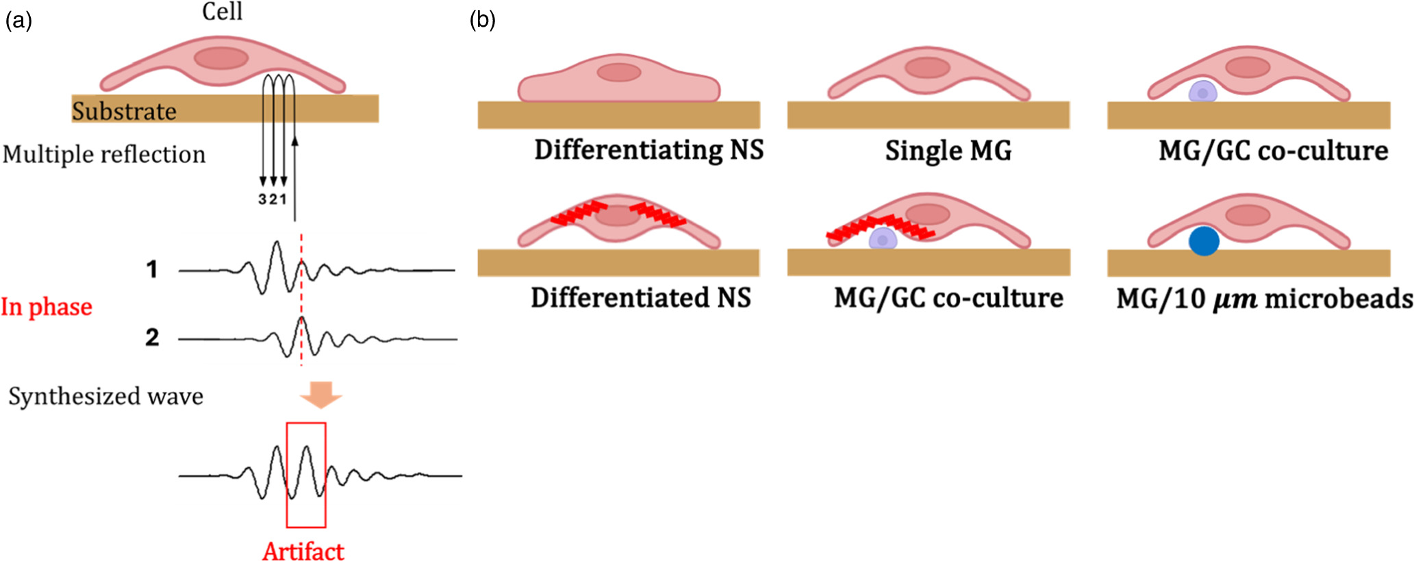 Multiple reflections in three-dimensional images of scanning acoustic ...