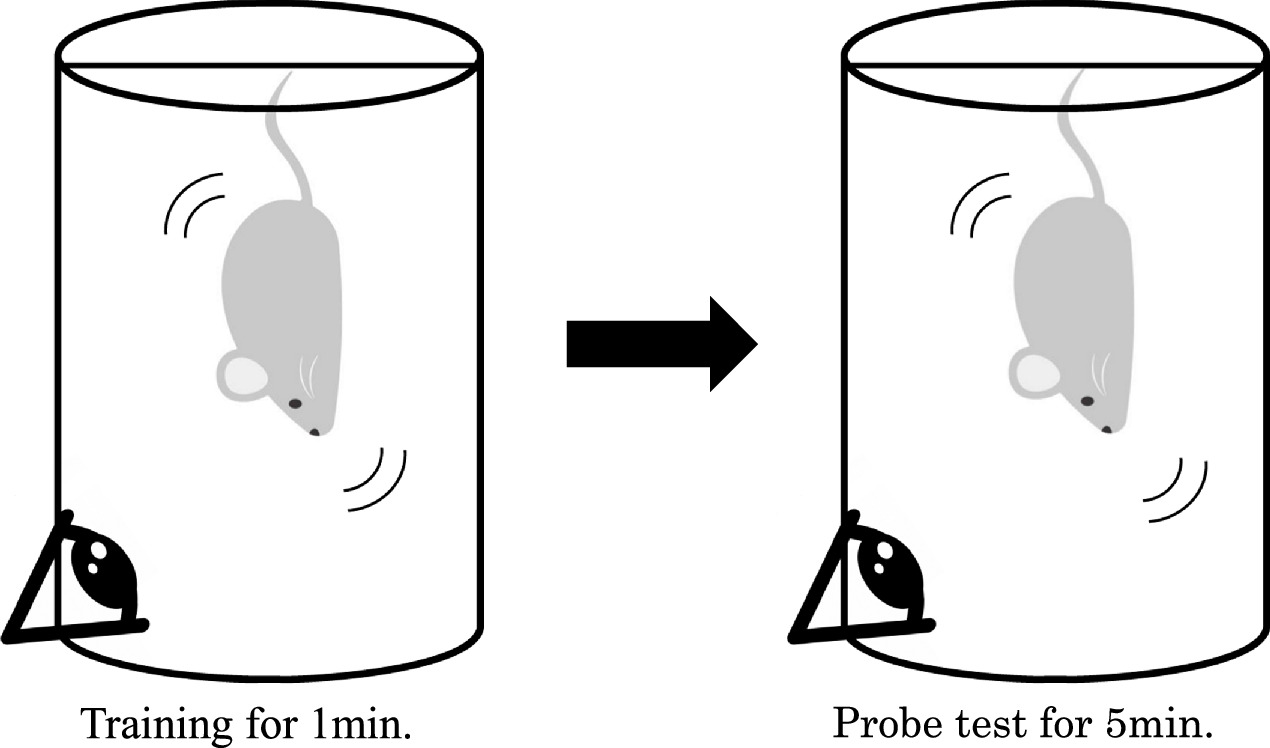 Neural activity analysis of depressive disorder model mice using the ...