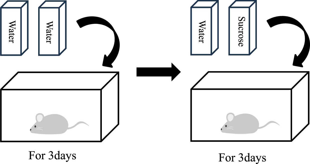 Neural activity analysis of depressive disorder model mice using the ...