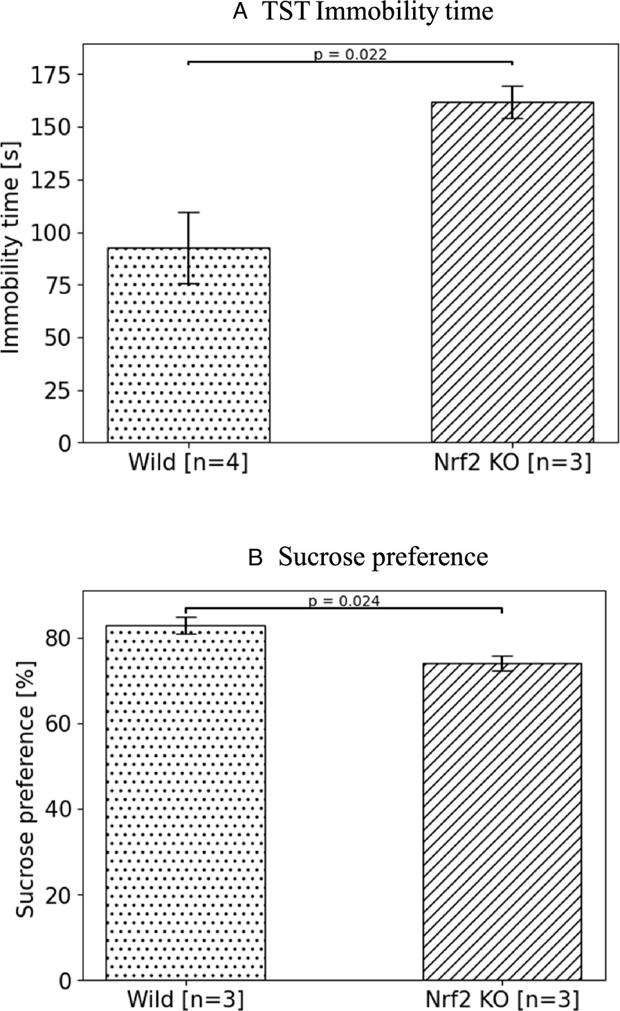Neural activity analysis of depressive disorder model mice using the ...