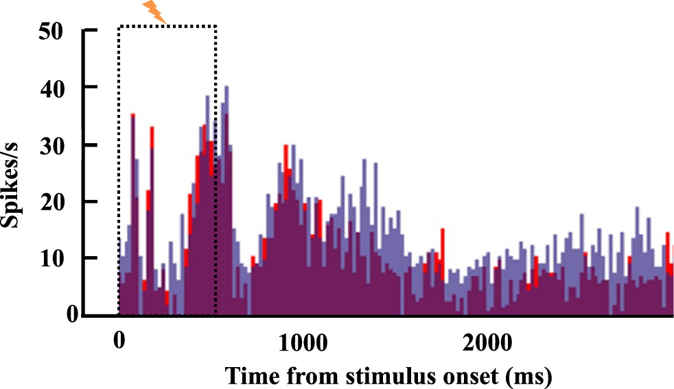 Neural activity analysis of depressive disorder model mice using the ...