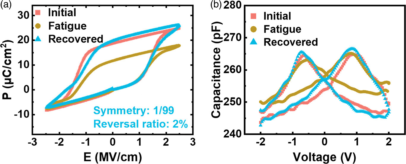50-fold endurance improvement in HfO2-based ferroelectric capacitor ...