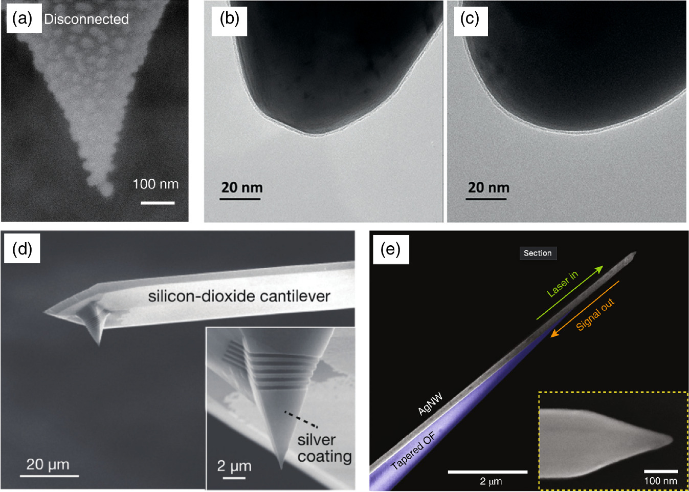 Advanced progress on tip-enhanced Raman spectroscopy and its ...