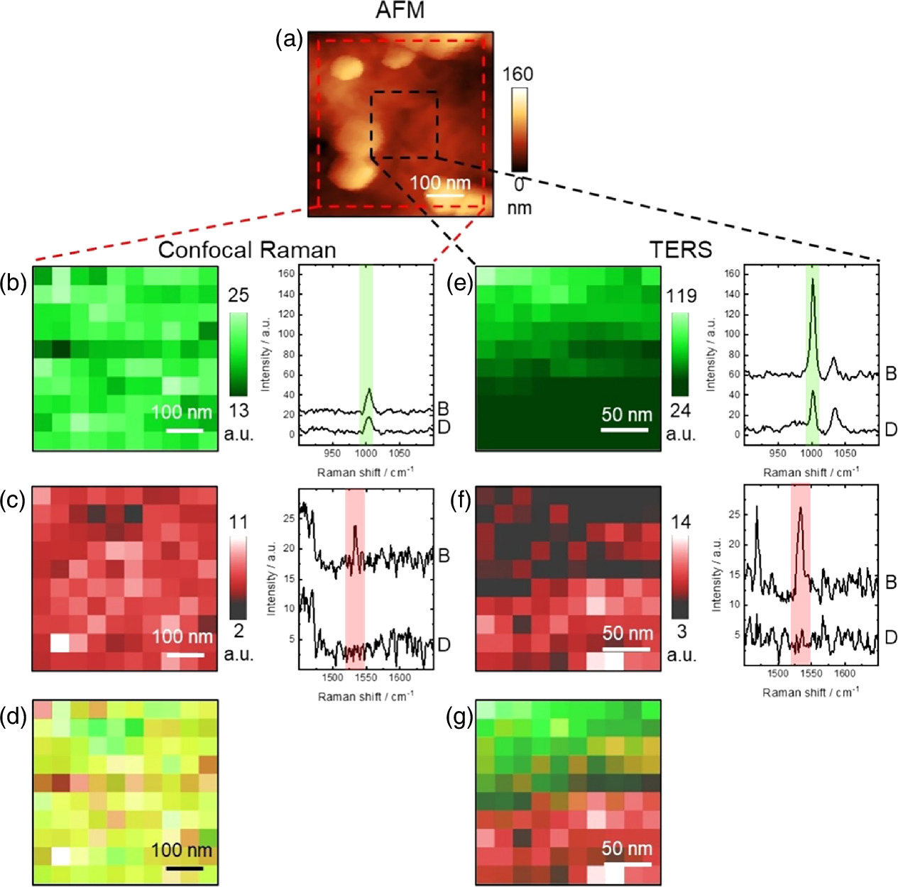 Advanced progress on tip-enhanced Raman spectroscopy and its ...