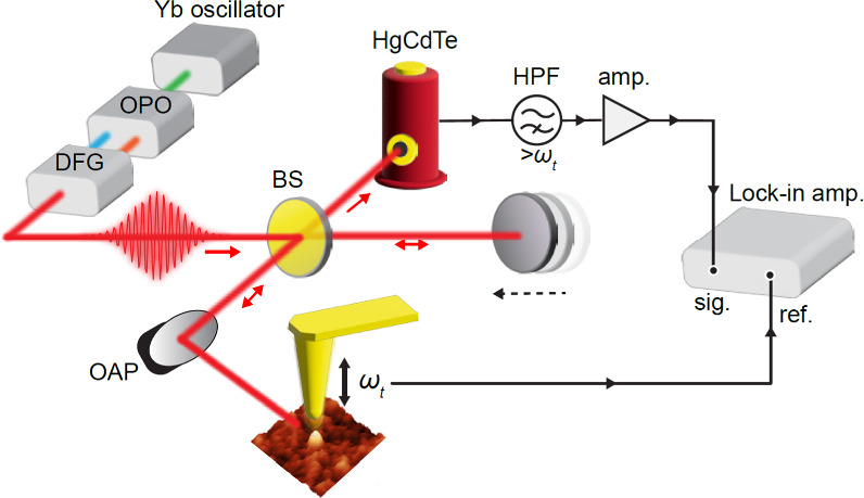 Infrared nano-spectroscopy and imaging on spatially confined ...