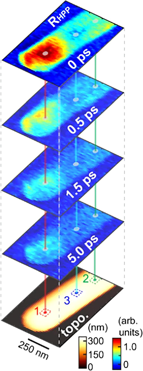Infrared nano-spectroscopy and imaging on spatially confined ...