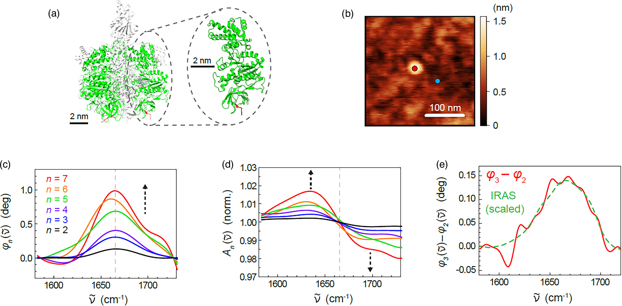 Infrared nano-spectroscopy and imaging on spatially confined ...