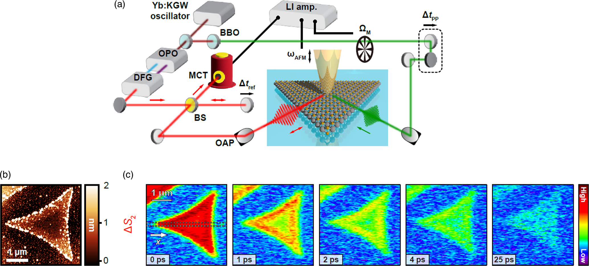 Infrared nano-spectroscopy and imaging on spatially confined ...