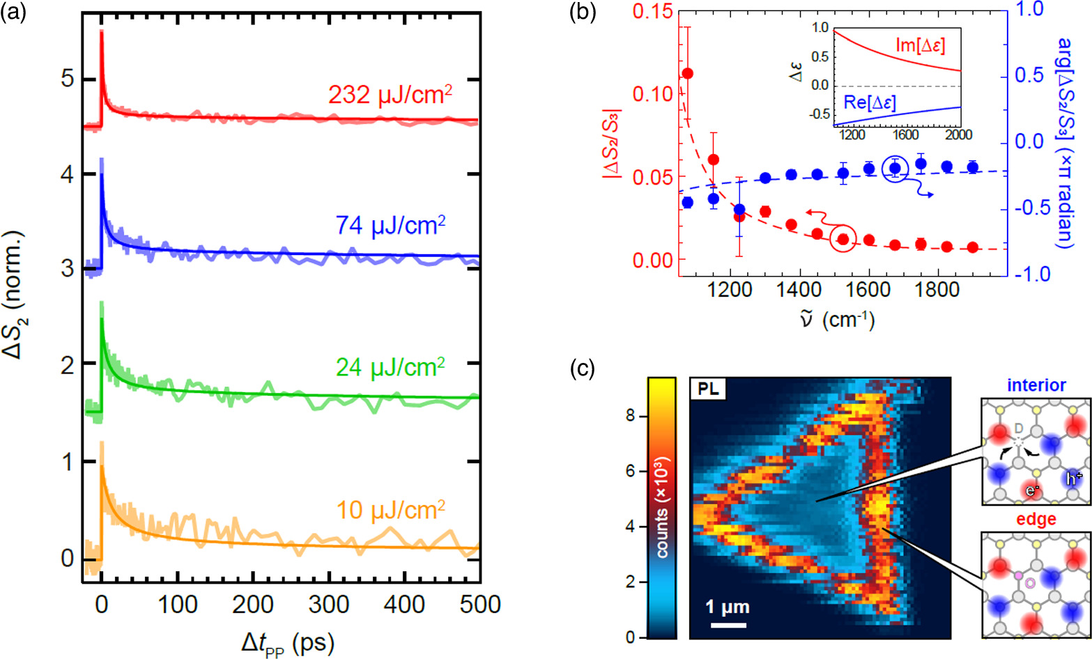Infrared nano-spectroscopy and imaging on spatially confined ...