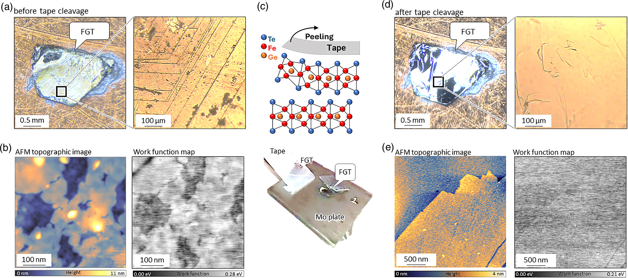 STM imaging and electronic correlation in van der Waals ferromagnet ...