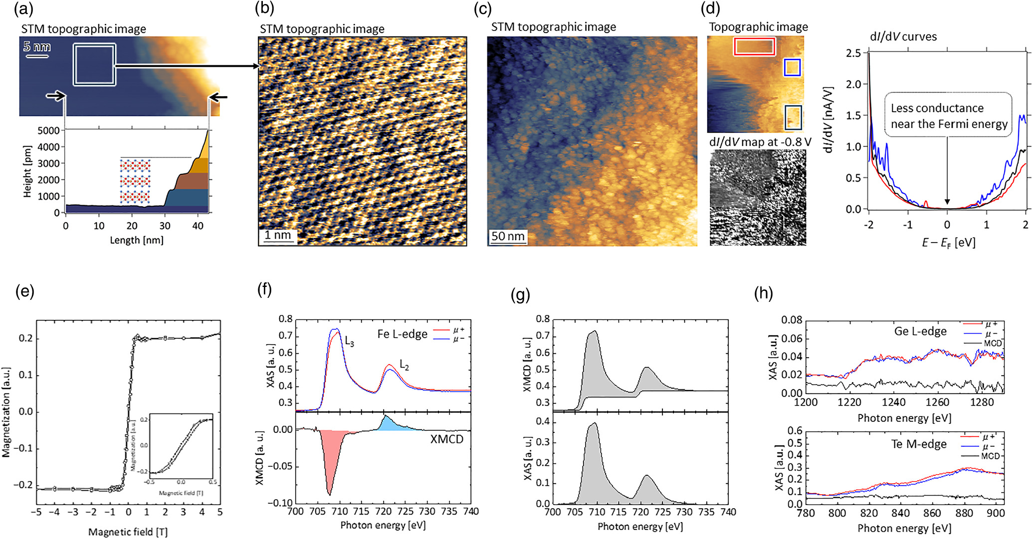 STM imaging and electronic correlation in van der Waals ferromagnet ...