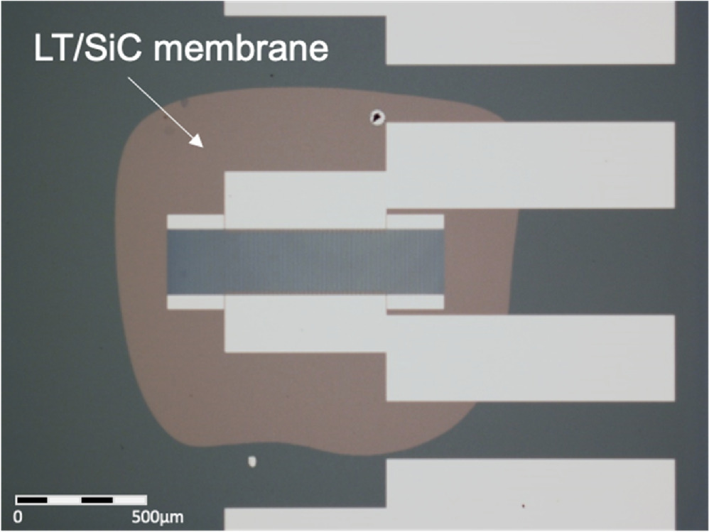 Resonance properties of leaky surface acoustic waves and plate waves on ...