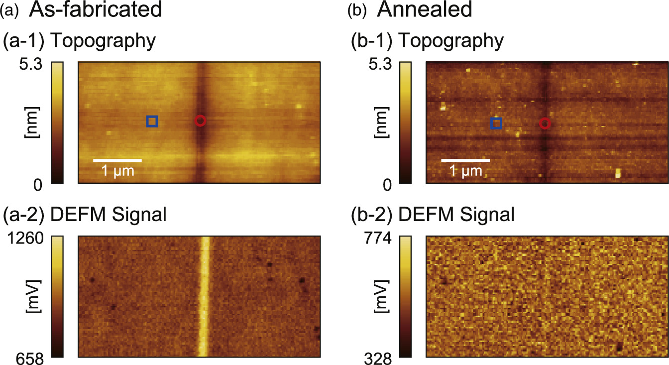 Cross-sectional investigation by dual bias modulation electrostatic ...