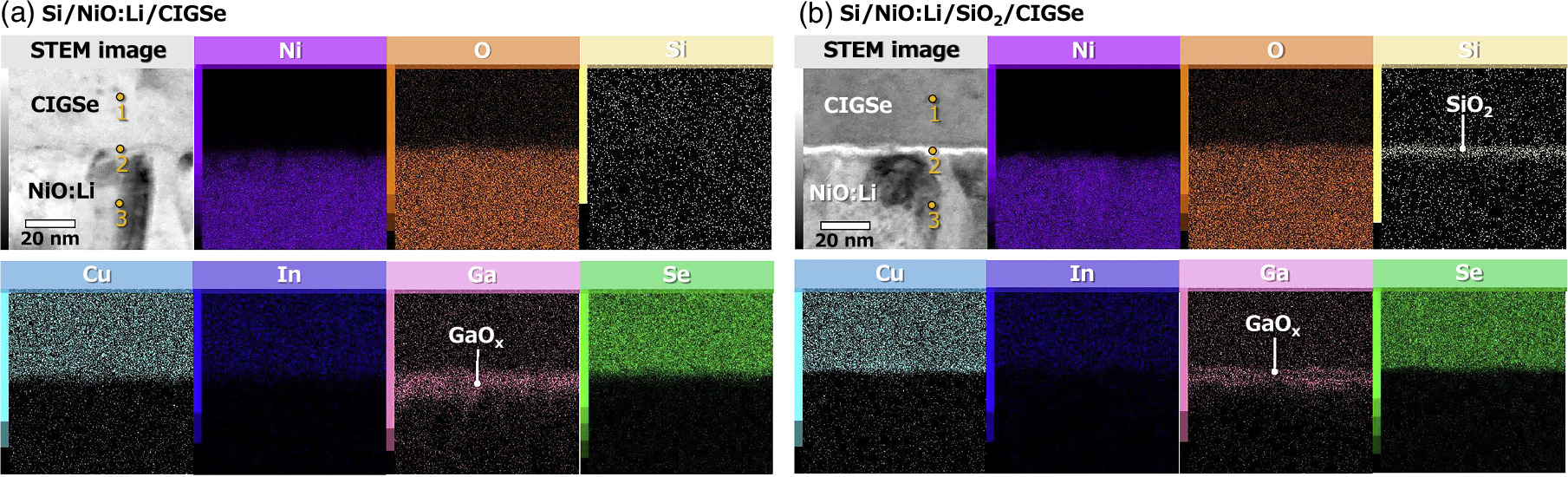 Structural investigation of the back contact in CIGSe solar cells with ...