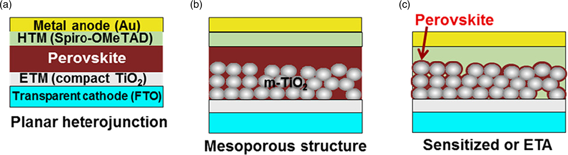 Charge carrier dynamics controlling performance of lead-based halide ...