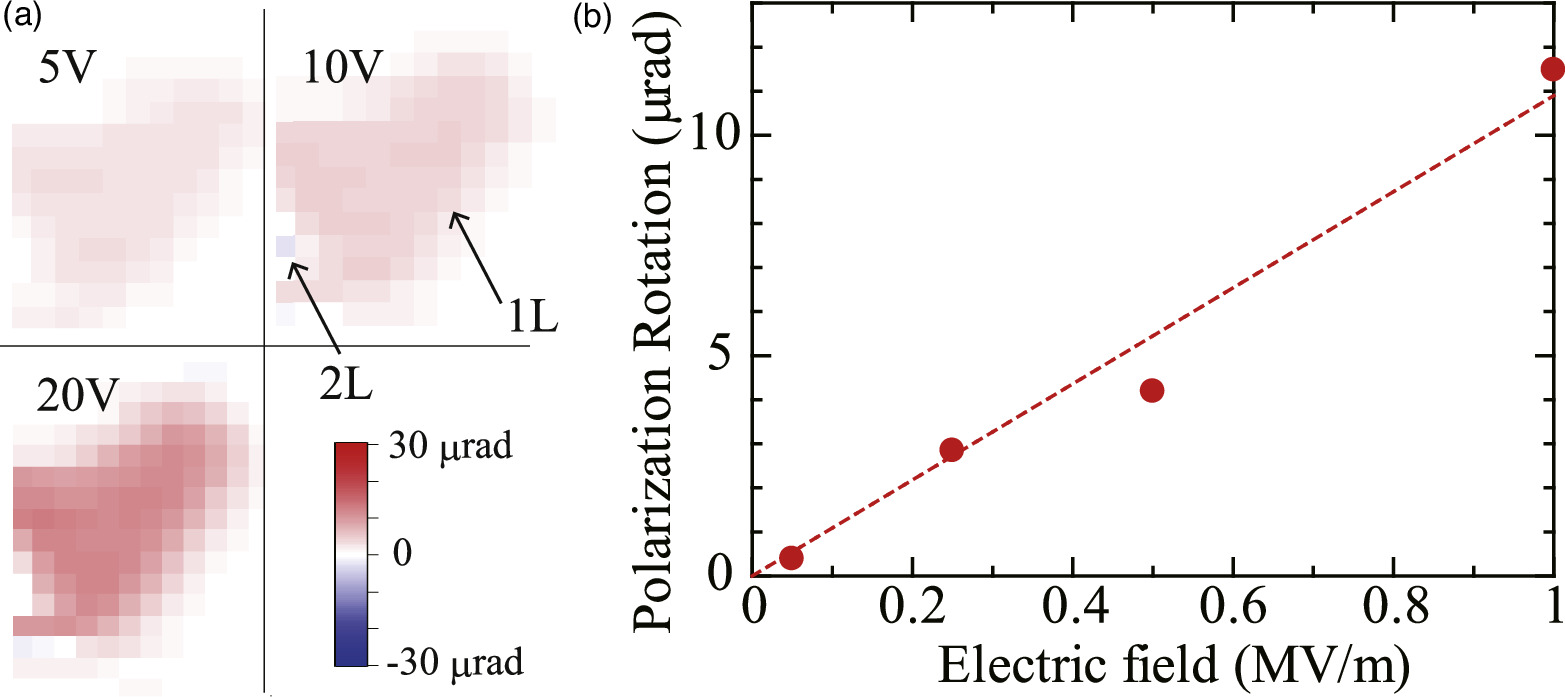 Pockels effect in CVD-grown monolayer MoS2 - IOPscience