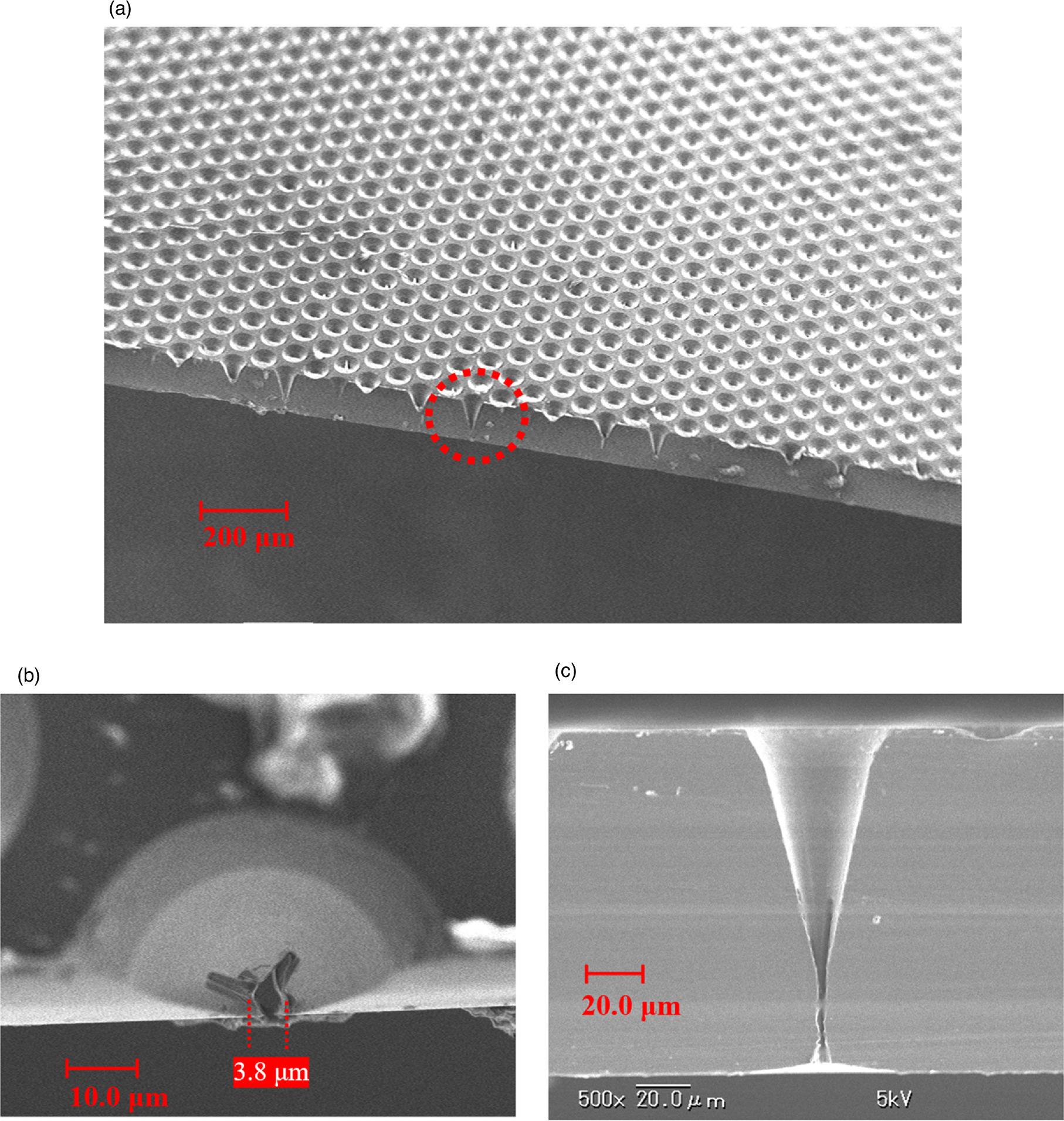 Submicron-processing by X-ray lithography for medical mesh nebulizer ...