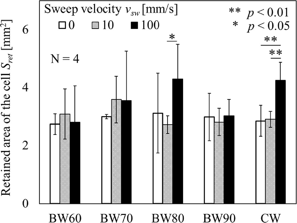 Burst wave conditions for vascular endothelial cells retained on ...