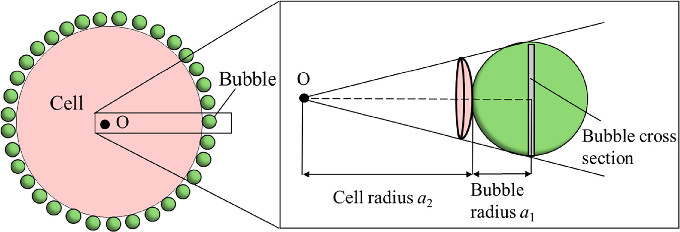 Burst wave conditions for vascular endothelial cells retained on ...
