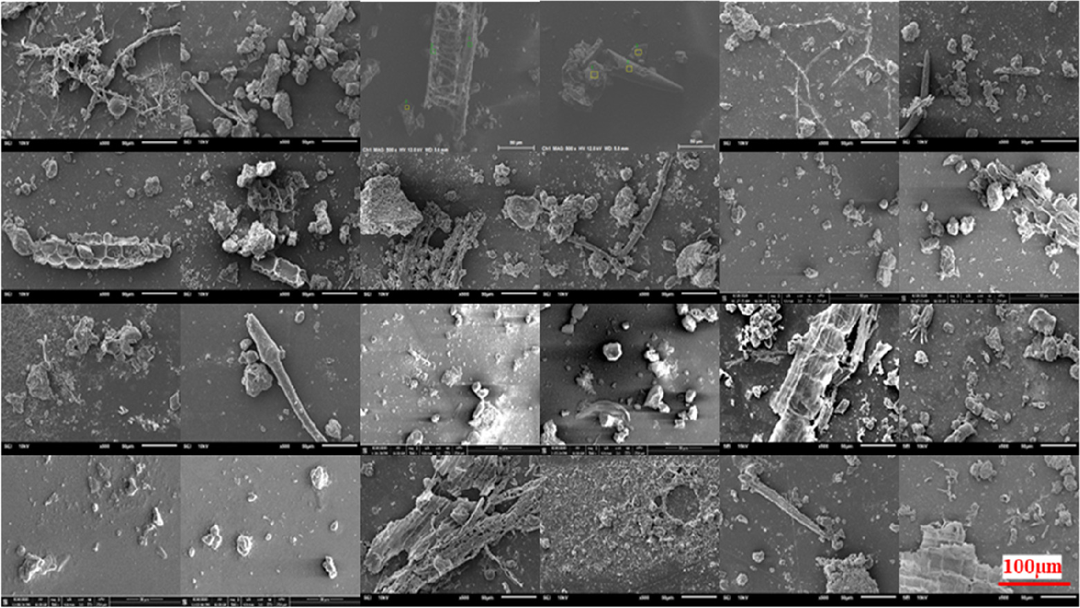 Characteristics, compositions, and effects of dust accumulated on PV ...