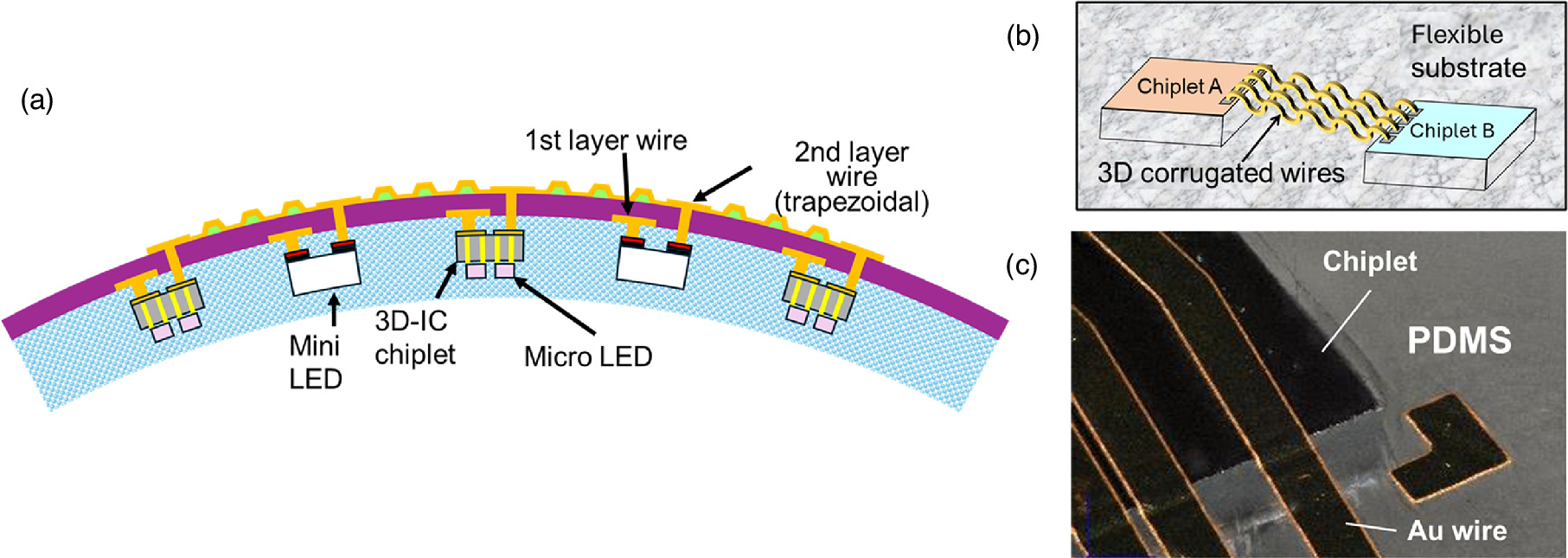 Double-layer interconnect formation ensuring mechanical robustness with ...