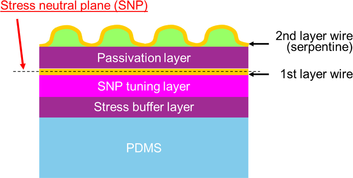 Double-layer interconnect formation ensuring mechanical robustness with ...