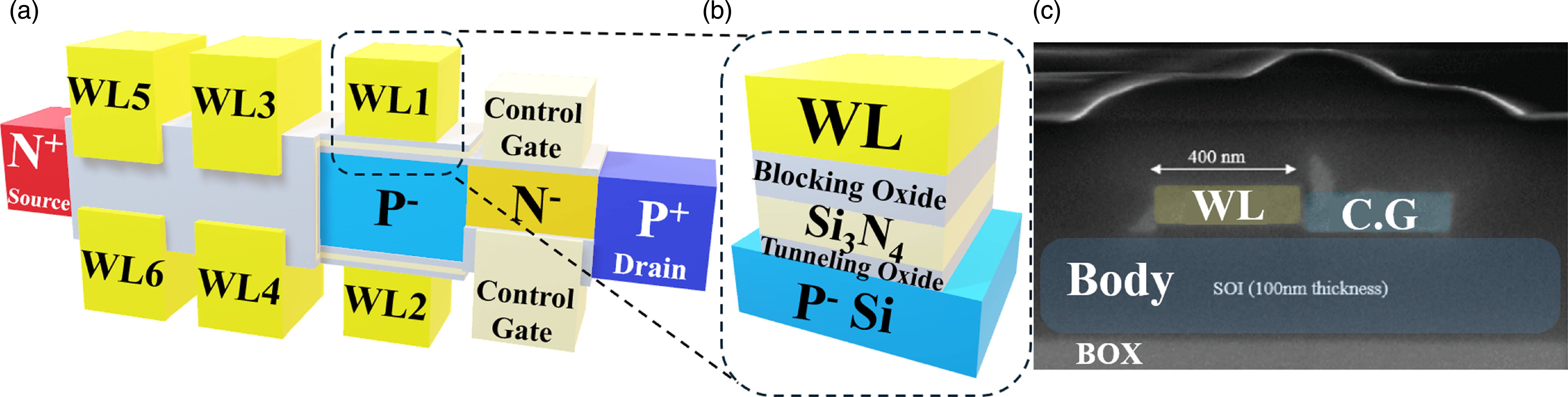 In-memory computation using positive feedback field effect transistor ...