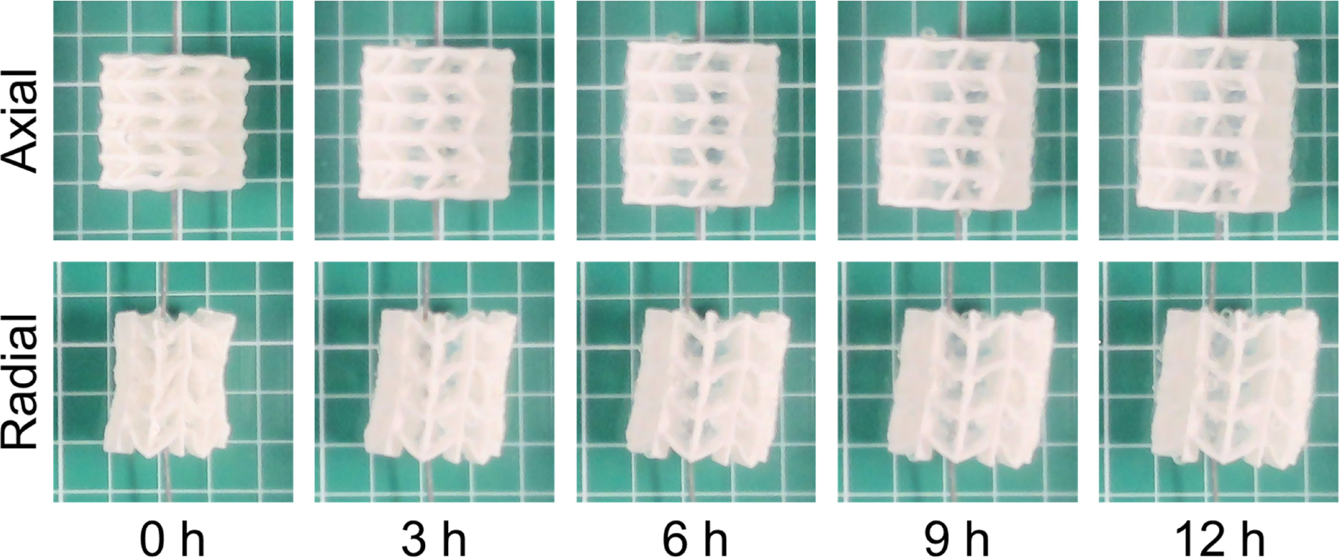 Programmable anisotropic actuation of hydrogel-composite mechanical ...