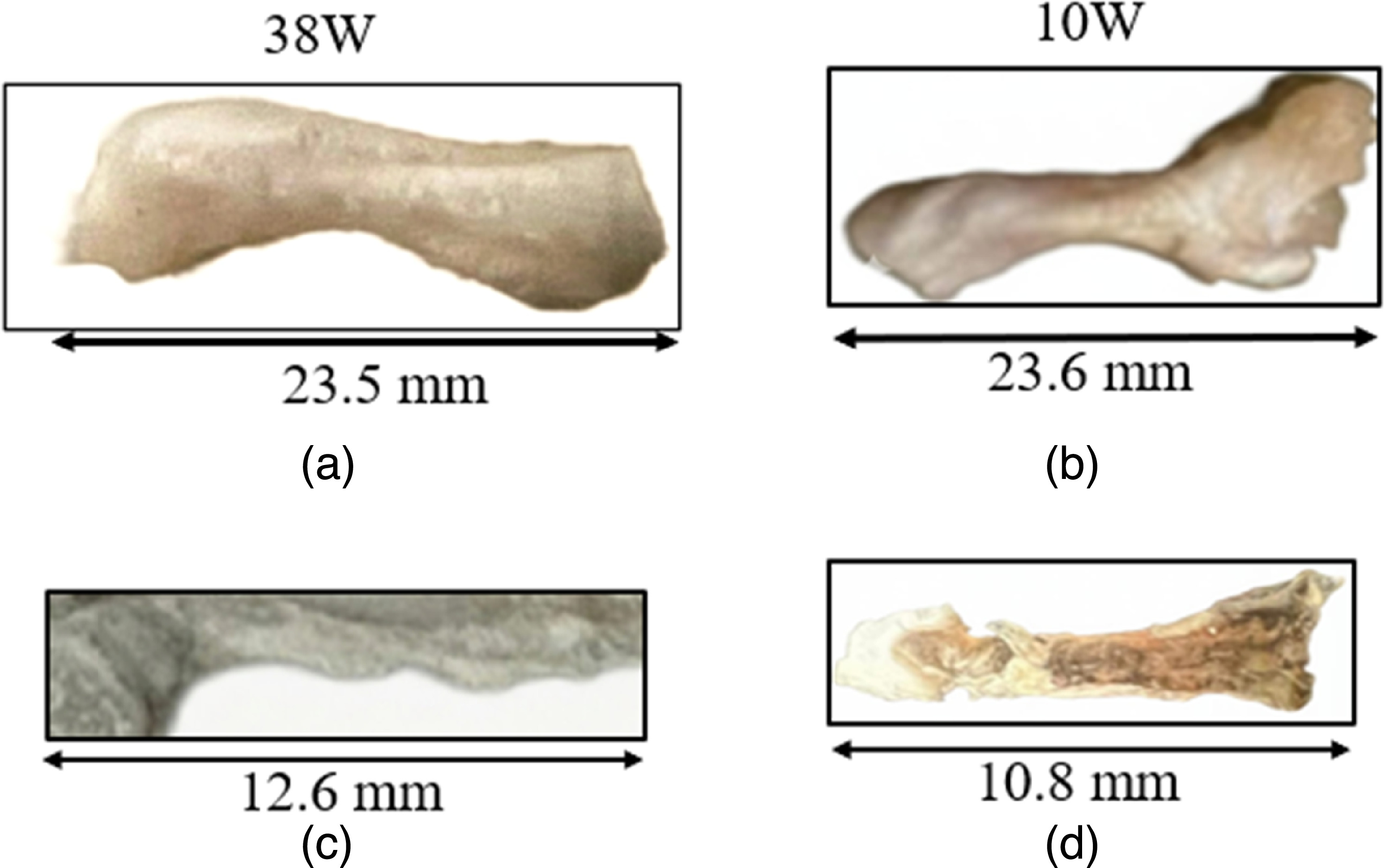 Photoacoustic studies of a bone-to-tendon transition - IOPscience